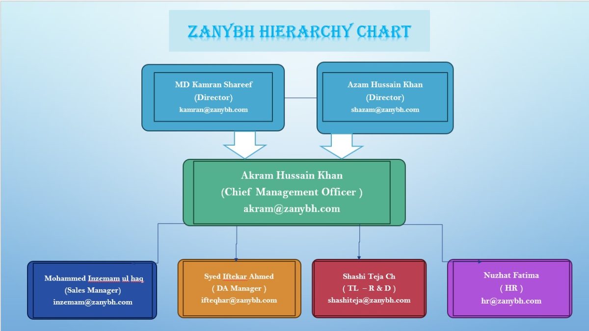 Hierarchy Chart - Zanybh Consulting Services Pvt. Ltd.